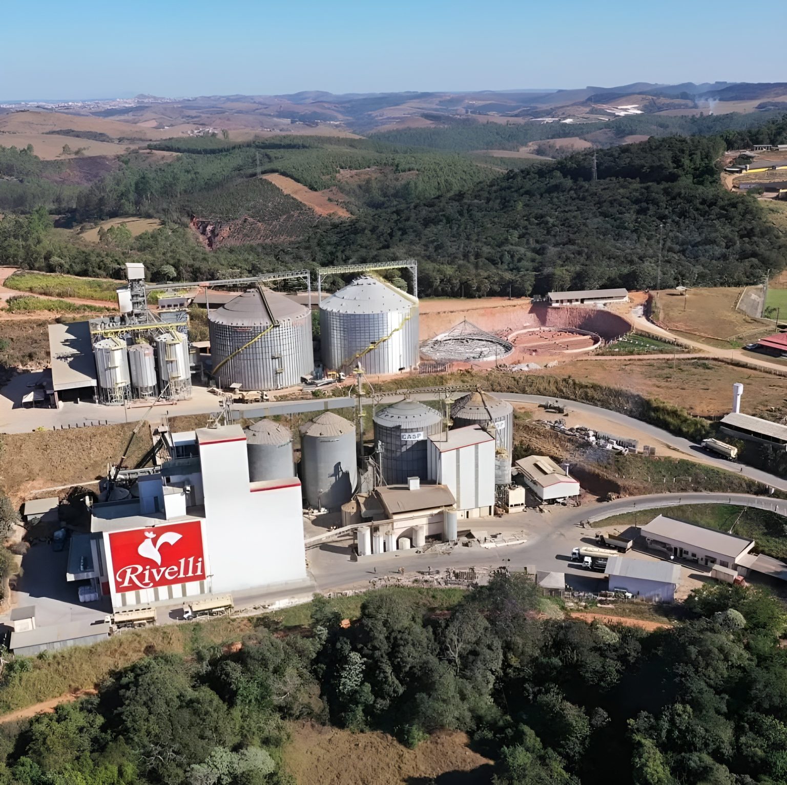 RIVELLI ALIMENTOS S/A - RIVELLI ALIMENTOS SA